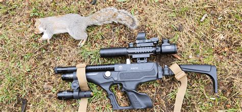 First Tree Ninja 25yds Rairgunhunting