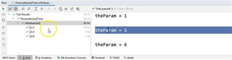 Chapter Parameterized Tests With ValueSource