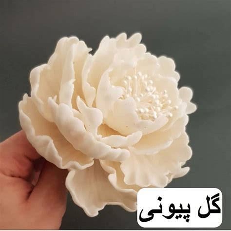 قیمت و خرید سیلیکون قالب گیری به گز مدل گل پیونی مجموعه 6 عددی