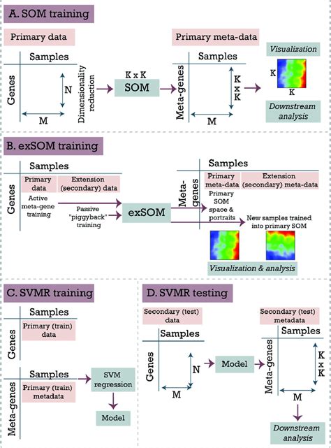 General Workflow Of Exsom And Supsom Algorithms A For Both Download Scientific Diagram