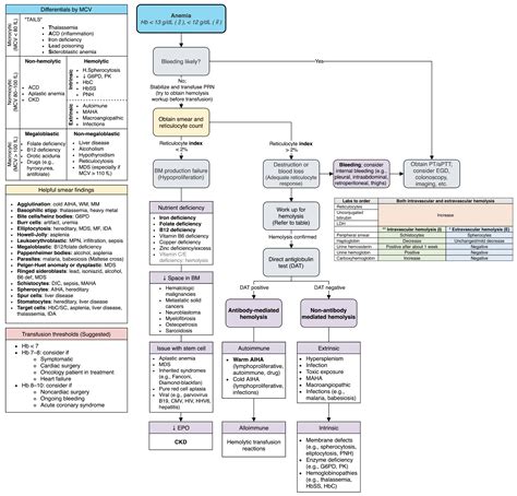 Algorithmic Approach To Anemia Differential Diagnosis Grepmed