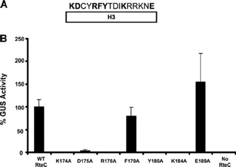 Site Directed Mutagenesis Of The Upstream Region Of P E A In The
