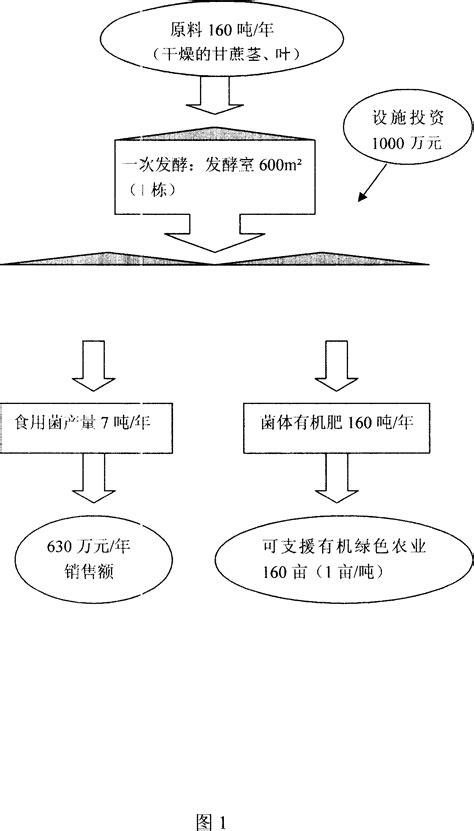 Ecological Agriculture Domestic Fungus Resource Cyclic Utilization