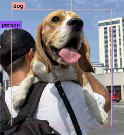 Yolo World A Demo To Real Time Zero Shot Object Detection Digitalocean
