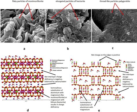 Sem Images Showing The Configuration Of Different Types Of Clays A