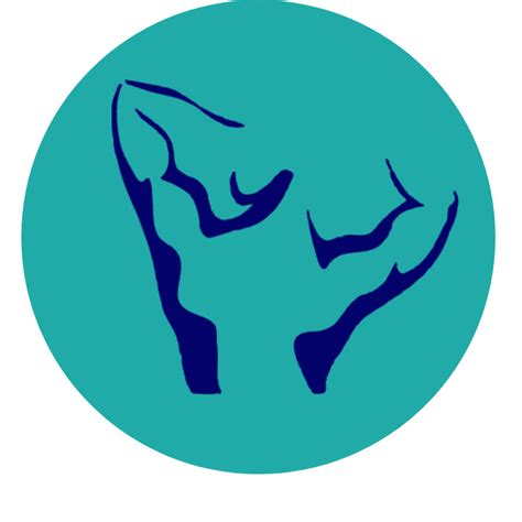 Acromio Clavicular Joint Acj Dislocation The Shoulder Practice