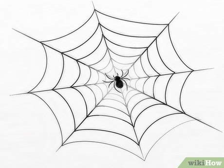 How To Draw A Spider Web With Pictures