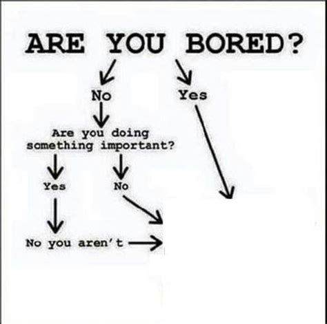 Are You Bored Flow Chart Blank Template Imgflip