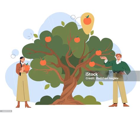 나무 사과 근처의 사람들 남자와 여자가 빨간 과일과 함께 나무 근처에 있습니다 비타민이 함유 된 천연 및 유기농 제품 수확하고 수확합니다 농업과 농업 시골 평면 벡터