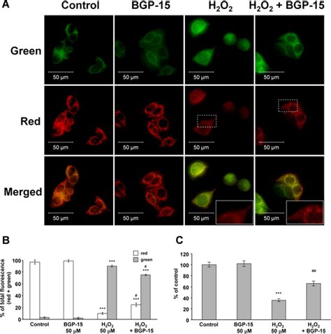Create Business Intelligence Excel Charts Using Vba And 46 Off