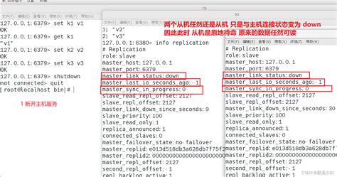 redis7 06 基础篇 第六章 redis复制 replica redis 复制的特点有哪些 csdn博客