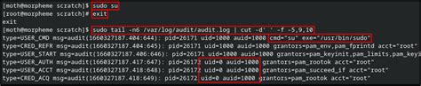 Auditd Field Spoofing Now You Auditd Me Now You Auditdont Black