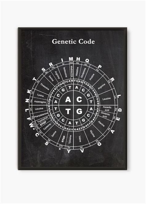 Genetic Code Science Poster T For Scientist Medical Art Biology Art Dorm Decor Genetic Art