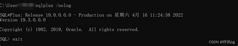 oracle19c安装配置 oracle19c环境变量怎么设置 csdn博客