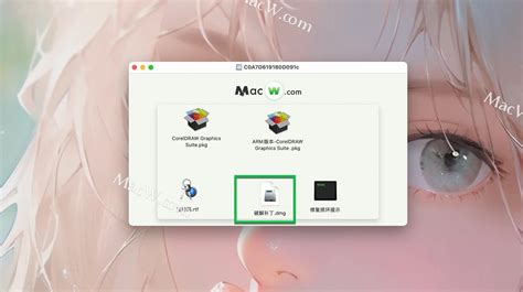Coreldraw2024中文版 Cdr2024序列号 Mac Win 墨天轮