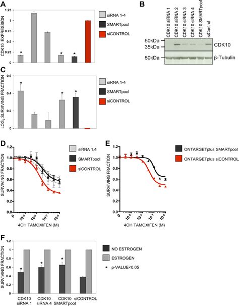 Identification Of Cdk10 As An Important Determinant Of Resistance To