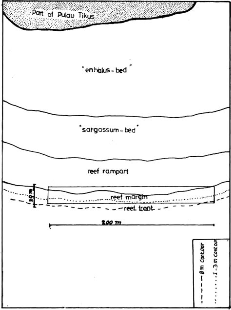 Figure 3 From Preliminary Observation On Living Habits Of Acanthaster