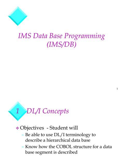 Ims Ppt I Databases Information Technology Management