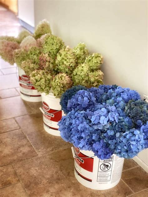 Drying Hydrangeas In Autumn ⋆ Sometyme Place ⋆