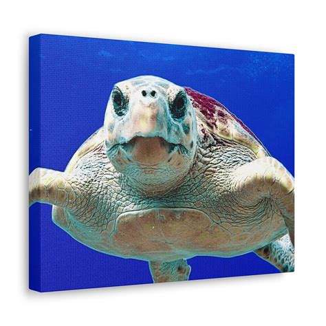 Sea Turtle Canvas Printsea Turtle Art Sea Life Turtle Art Etsy