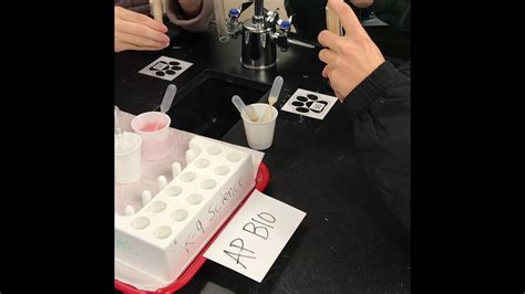 Yeast Fermentation Virtual Lab At Lydia Eddy Blog