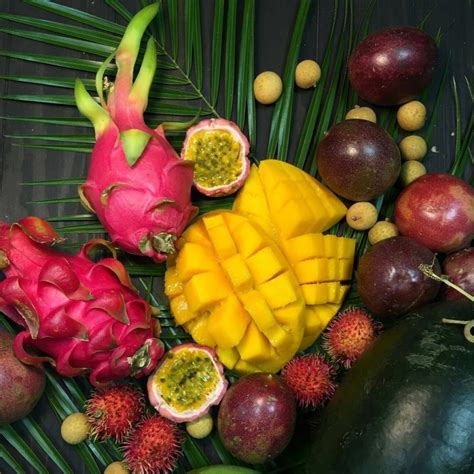 Картинки экзотических фруктов 51 фото 51 фото