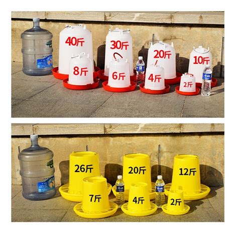Poultry Farm Equipment Chicken Feeder Poultry Farming Plastic Poultry