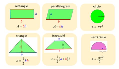 Area Circle Triangle Rectangle Parallelogram Kg University Quiz Quizizz