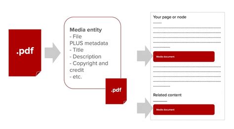 Introduction To The Media File Management Sector Documentation And
