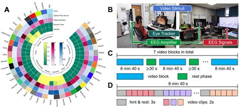Eeg2video Towards Decoding Dynamic Visual Perception From Eeg Signals · Neurips 2024