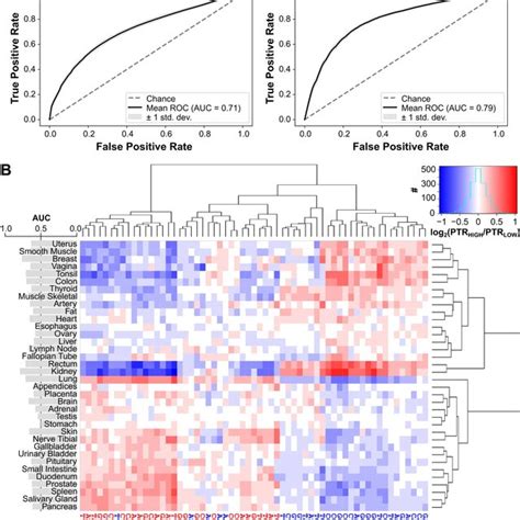 Random Forest Models Identify Two Clusters Of Human Tissues With Download Scientific Diagram