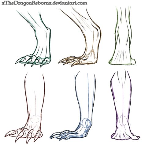 Dragon Feet Study By Xthedragonrebornx Feet Drawing Dragon Sketch