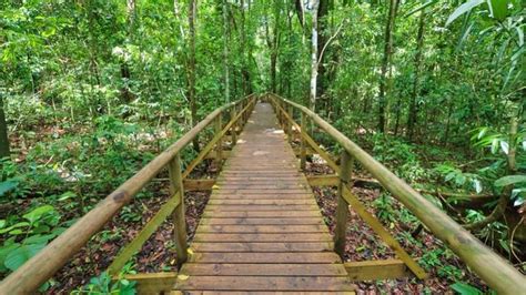 Manuel Antonio National Park A Guide To Its Untamed Beauty