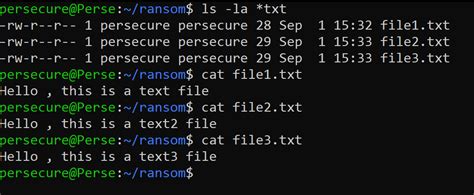 Simple Python Ransomware Persecure My Learning Archive