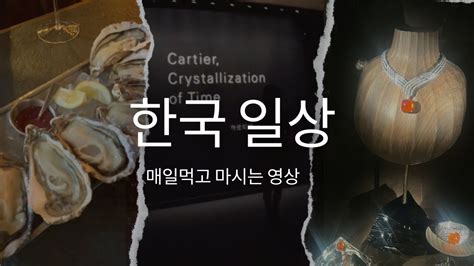 한국 일상 Youtube