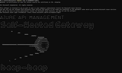 Azure Api Management Com Gateway Auto Hospedado No Aks Microsoft Community Hub