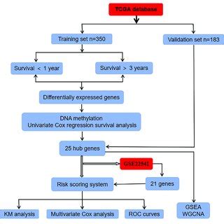 Flowchart Of The Whole Analysis Process Download Scientific Diagram