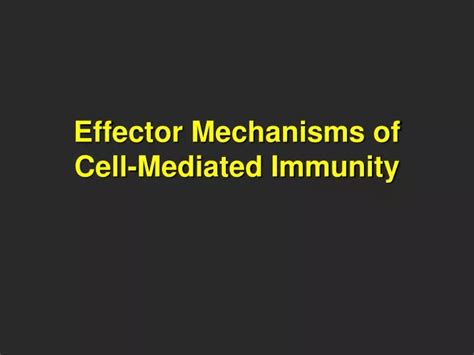 PPT Effector Mechanisms Of Cell Mediated Immunity PowerPoint Presentation ID