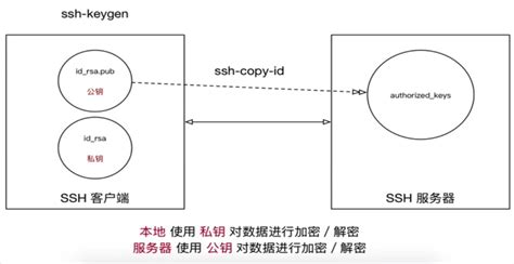 Linux远程管理常用命令scp命令 Exit Csdn博客