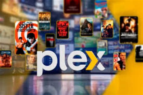 setup your plex media server emby jellyfin and automate radarr and