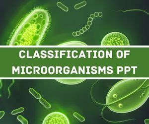 Classification Of Microorganisms PPT Presentation Free