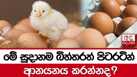 මේ සූදානම බිත්තරත් පිටරටින් ආනයනය කරන්නද පශු වෛද්‍ය සංගමයේ සභාපති Youtube