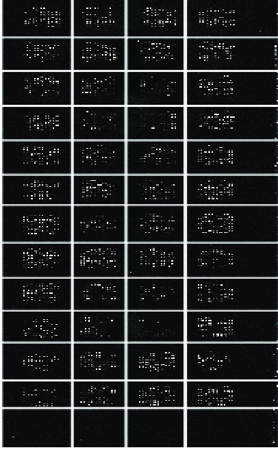 a microarray image taken from the third dataset geo after performing