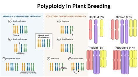 Modes Of Reproduction And Pollination In Crop Plants Biology Notes Online