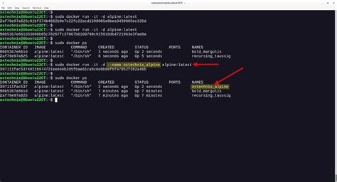 Linux 下的 Docker 入门教程 Linux 中国 知乎
