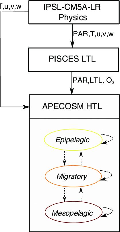 Schematic Representation Of The Experimental Design Plain Arrows