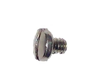 Screw