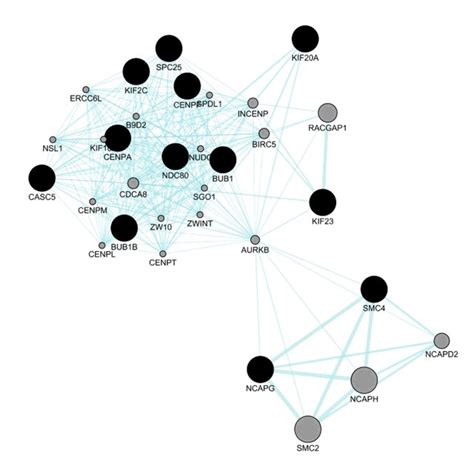 Antibiotic Susceptibility Profile Of Enterococcus Faecalis Before And Download Scientific