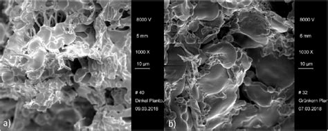 Sem Micrographs Of Starch Granule Appearance In Charred Ripe Spelt A