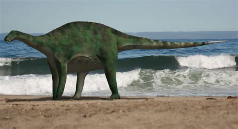 Brachytrachelopan Fossil Wiki Fandom